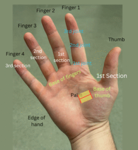 Stevens Grip Full Guide for Marimba